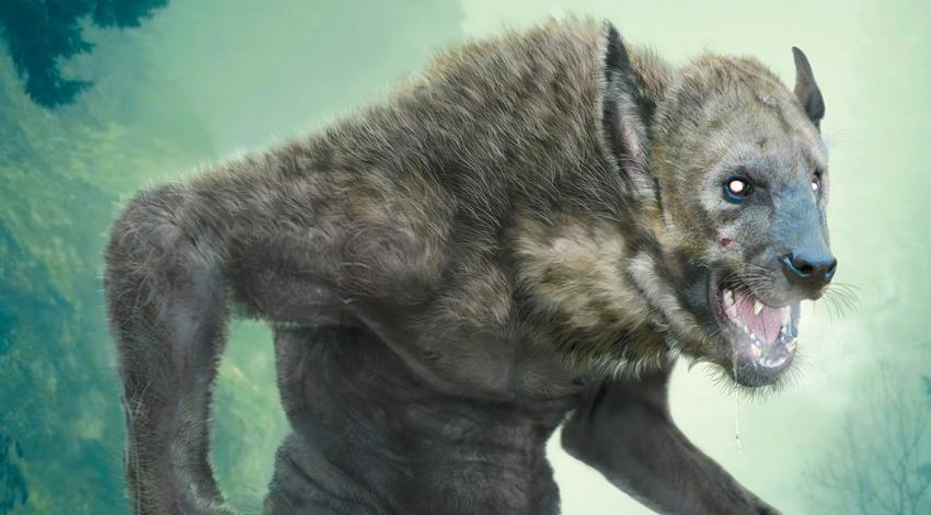 Superfan | Ohio Cooperative Living