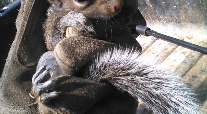 Easy pantry meals | Ohio Cooperative Living