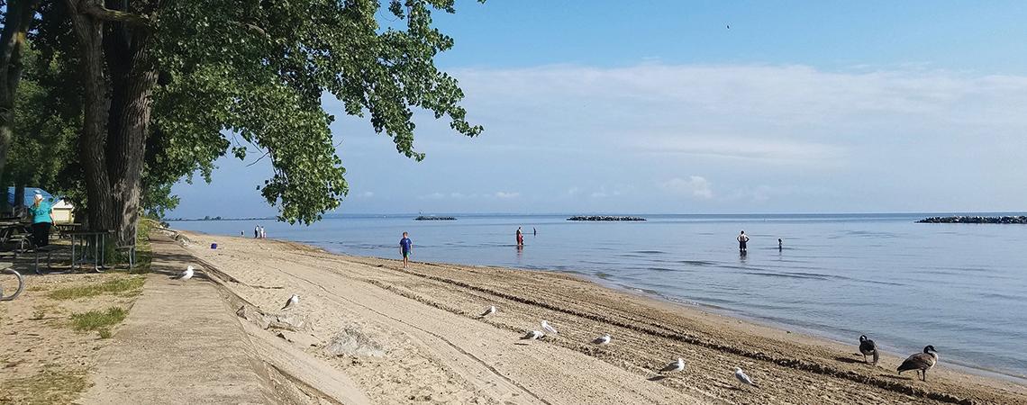 Lake Erie beach bucket list | Ohio Cooperative Living